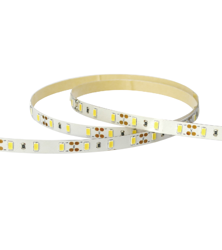 LED Strip 10W/M 3000K/6000K 5M White/Warm White – T3014-60